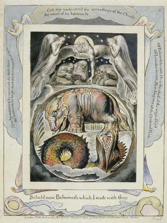 'Behemoth and Leviathan from the Book of Job (Pl.15), C.1793 (Hand ...