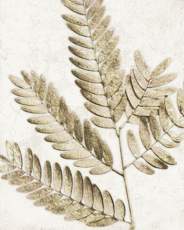 'Leaf Study II' Giclee Print - Belle Poesia | Art.com