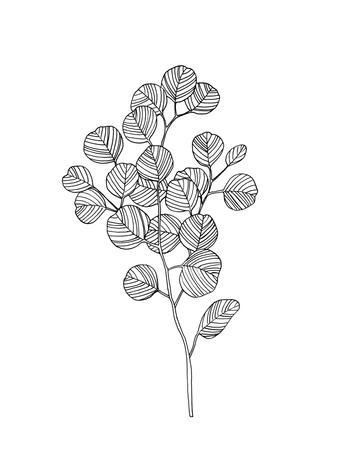 Linear Nature - Flourish Giclee Print - Belle Poesia | Art.com