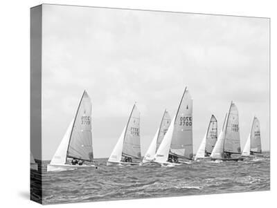 Guided Glide Stretched Canvas Print - Ben Wood | Art.com