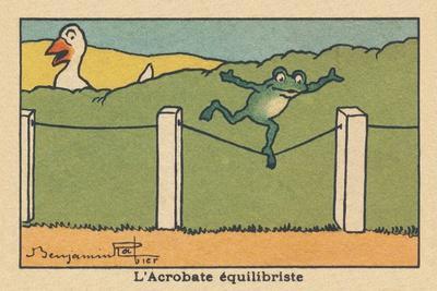 A Frog Balances on a Tight Wire.” the Balancing Acrobat” ,1936 ...