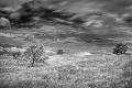 'Infrared image of clouds, grasslands and oak trees in Amador County ...