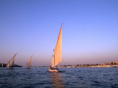 'Beautiful Sailboats Riding Along the Nile River, Cairo, Egypt ...