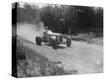 'Frazer-Nash of RGJ Nash competing in the BOC Hill Climb, Chalfont St ...