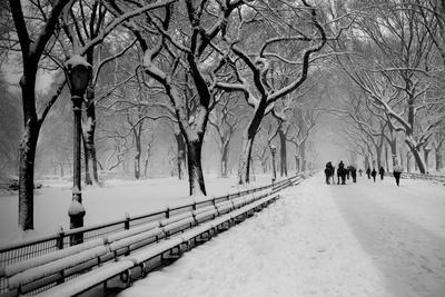 'Central Park Snow' Photographic Print - Bill Carson Photography | Art.com