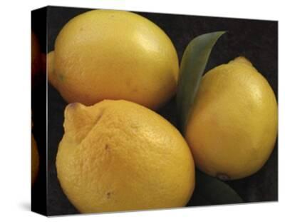 'Lemon Trio' Stretched Canvas Print - Bill Philip | Art.com