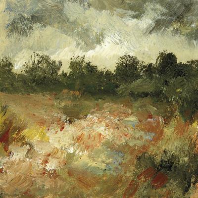 Meadow Creation Giclee Print - Bill Philip | Art.com