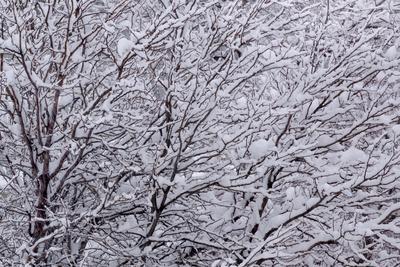 'Synergy' Photographic Print - Bill Sherrell | Art.com