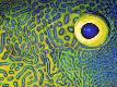 'Blue and Yellow Triggerfish Eye' Photographic Print - Bill Varie | Art.com