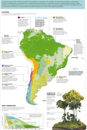 'Biomas de América del Sur.' Photographic Print | Art.com