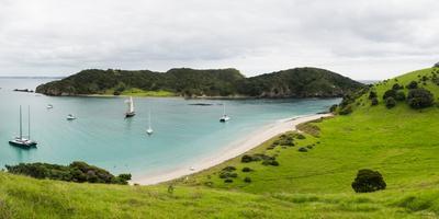 'Boats Docked in Small Bay at Waewaetorea Island, Bay of Islands ...