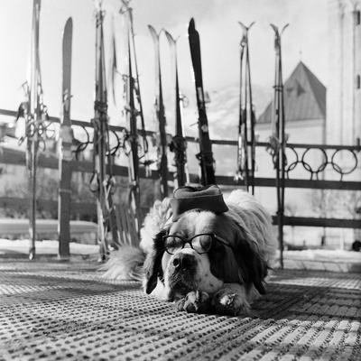 '1956 Winter Olympic Game' Photographic Print - Bosher | Art.com