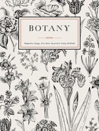 'Botany. Vintage Floral Card. Vector Illustration of Style Engravings ...