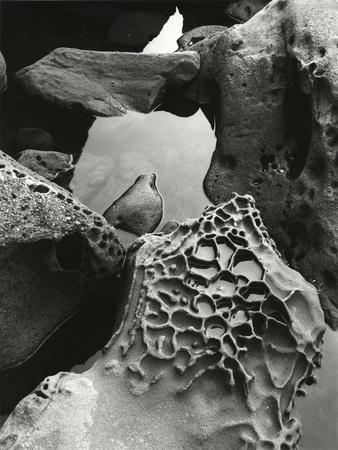'Tide Pool, Point Lobos, 1977 (gelatin silver print)' Photographic ...