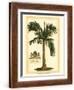 'British Colonial Palm I' Art Print | Art.com