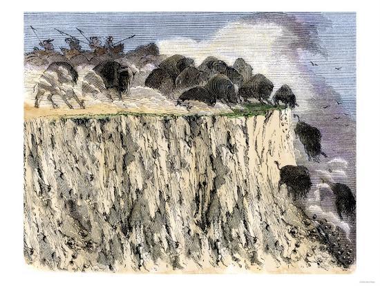 Buffalo Herd Driven Off a Cliff by Native Americans on Horseback Giclee ...