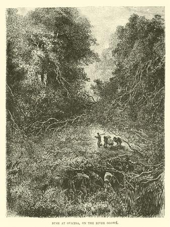 'Bush at Ovamba, on the River Ogowe' Giclee Print | Art.com