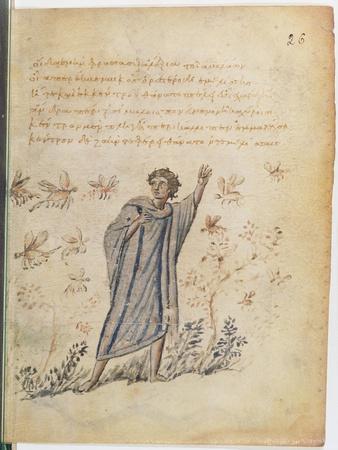 'Man Escaping from Bees, Illustration from Theriaca of Nicander of ...