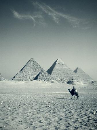 'Camel and Giza Pyramids, Giza, Cairo, Egypt' Photographic Print - Jon ...