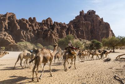 'Camel caravan, Guelta d'Archei waterhole, Ennedi plateau, UNESCO World ...