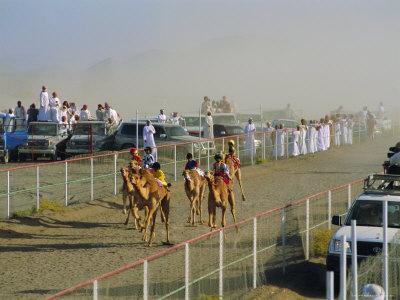 'Camel Race Course, Mudaibi, Oman, Middle East' Photographic Print - J ...