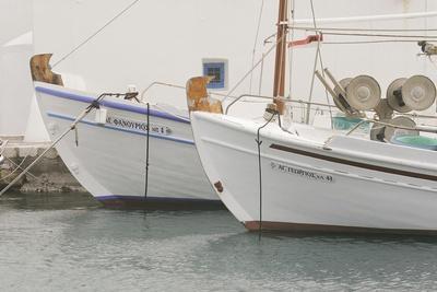 'Tether Together' Giclee Print - Carina Okula | Art.com