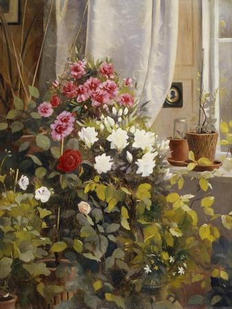 'Azaleas, Geraniums, Roses and Other Potted Plants by a Window' Giclee ...
