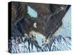 Aerial drone view of particular ice textures formed in the ...