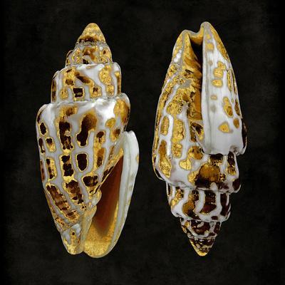 Golden Ocean Gems I Art Print - Caroline Kelly | Art.com