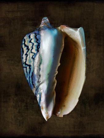 Ocean Treasure I Art Print - Caroline Kelly | Art.com