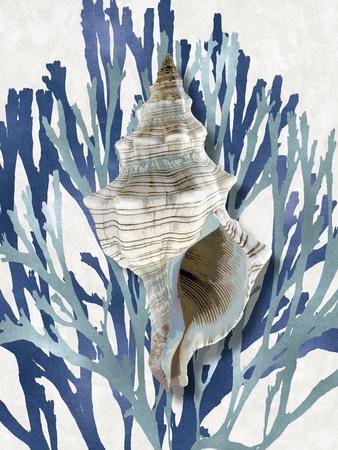 'Shell Coral Aqua Blue III' Art Print - Caroline Kelly | Art.com