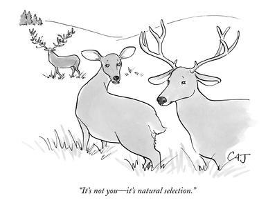 Natural Selection Cartoon