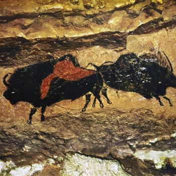 'Cave Art: Bison' Photographic Print | Art.com