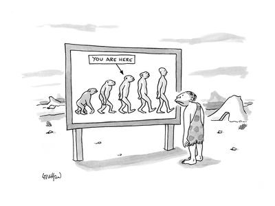 Evolution Of Man Chart