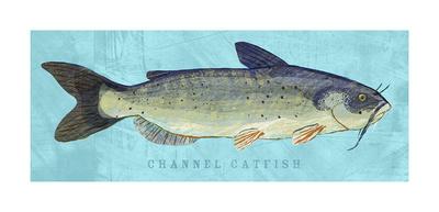'Channel Catfish' Giclee Print - John Golden | Art.com
