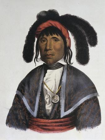 'Micanopy (Seminole Chief)' Giclee Print - Charles Bird King | Art.com