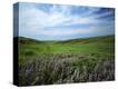 Big Basin Prairie Preserve, Kansas, USA Premium Photographic Print ...