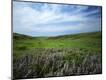 Big Basin Prairie Preserve, Kansas, USA Photographic Print - Charles ...