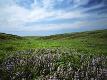 Big Basin Prairie Preserve, Kansas, USA Photographic Print - Charles ...