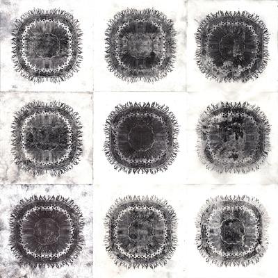 'Plant Cells, 2019 (Dry Point Etching)' Giclee Print - Charlotte Orr ...