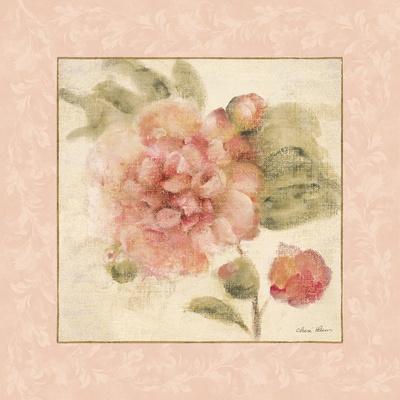 'Rose Acanthus II' Art Print - Cheri Blum | Art.com