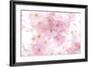 'Cherry Tree, Blossoms, Pink, Close-Up' Photographic Print - Alexander ...