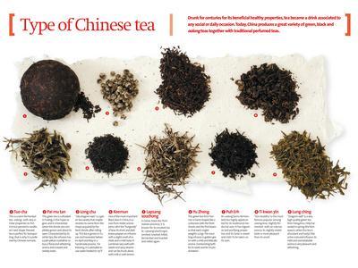 Chinese tea types. Photographic Print | Art.com