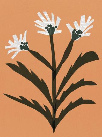Flamboyant Flowers - Triplet Giclee Print - Chloe Watts | Art.com