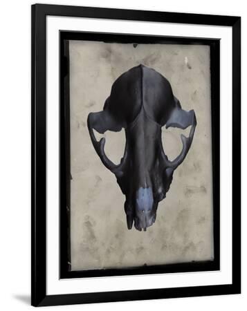 Cranium Framed Giclee Print - Chris Dunker | Art.com