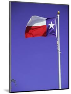 Beautiful Texas State Flag artwork for sale, Posters and Prints | Art.com