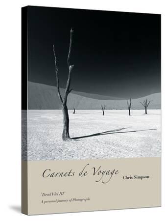 'Dead Vlei III' Stretched Canvas Print - Chris Simpson | Art.com