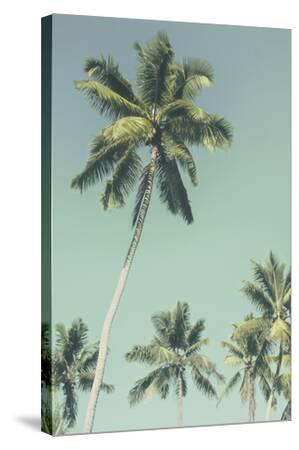 'Palm Grove Westside' Stretched Canvas Print - Chris Simpson | Art.com