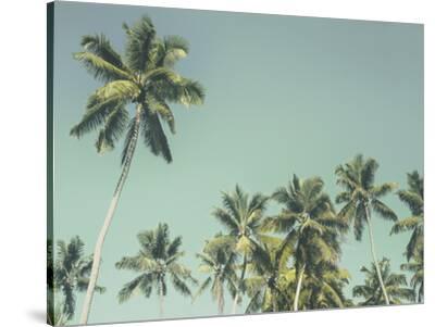 'Palm Grove' Stretched Canvas Print - Chris Simpson | Art.com