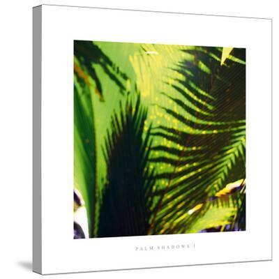 'Palm Shadows I' Stretched Canvas Print - Chris Simpson | Art.com